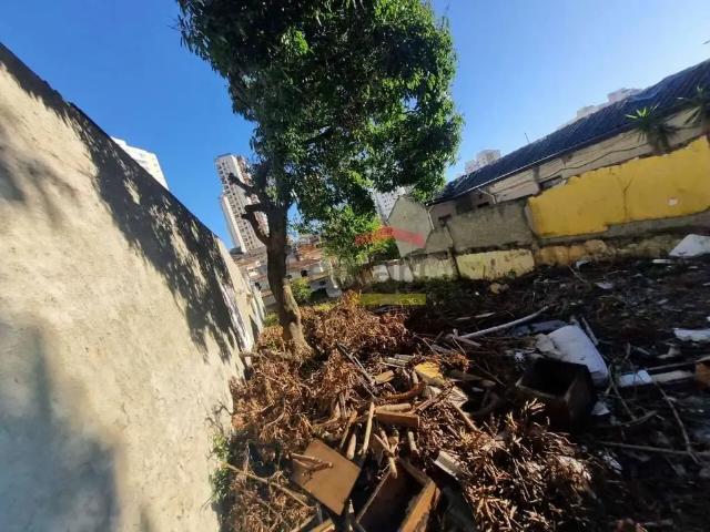 Terreno / Lote para Venda em São Paulo/SP Santana