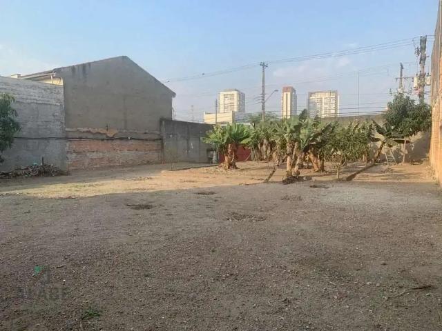 Terreno / Lote para Venda em São Paulo/SP Santo Amaro