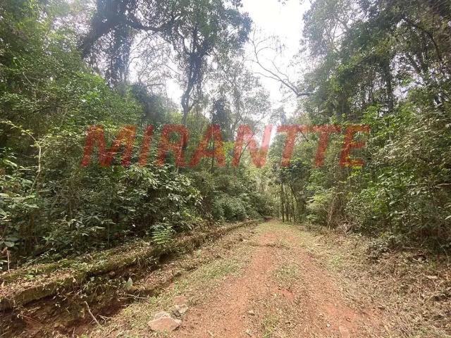 Terreno / Lote para Venda em São Paulo/SP Serra da Cantareira