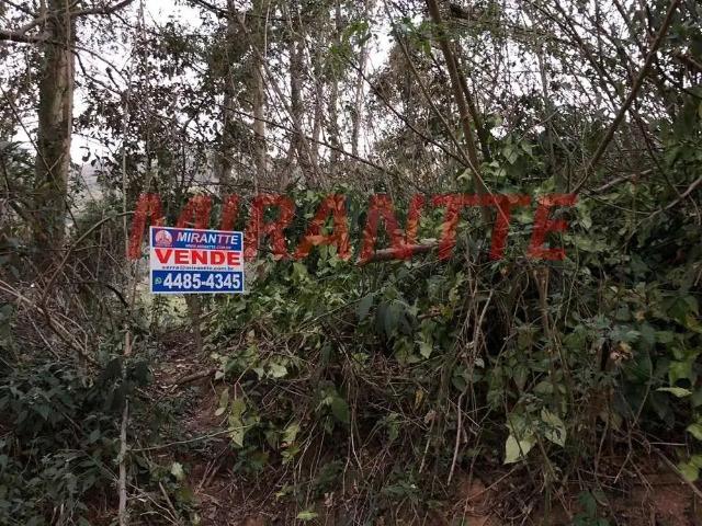 Terreno / Lote para Venda em São Paulo/SP Serra da Cantareira