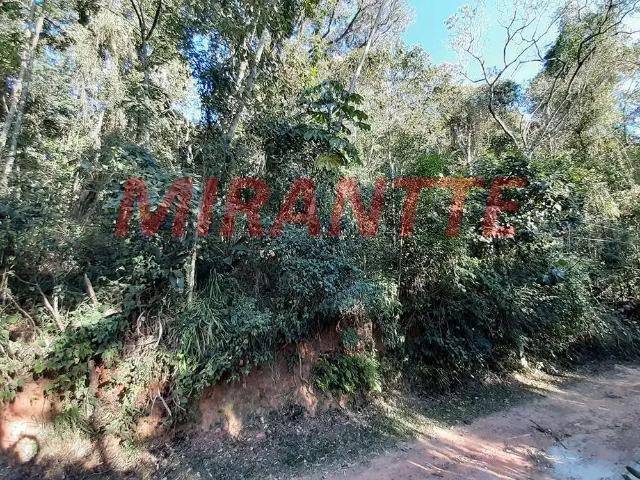 Terreno / Lote para Venda em São Paulo/SP Serra da Cantareira