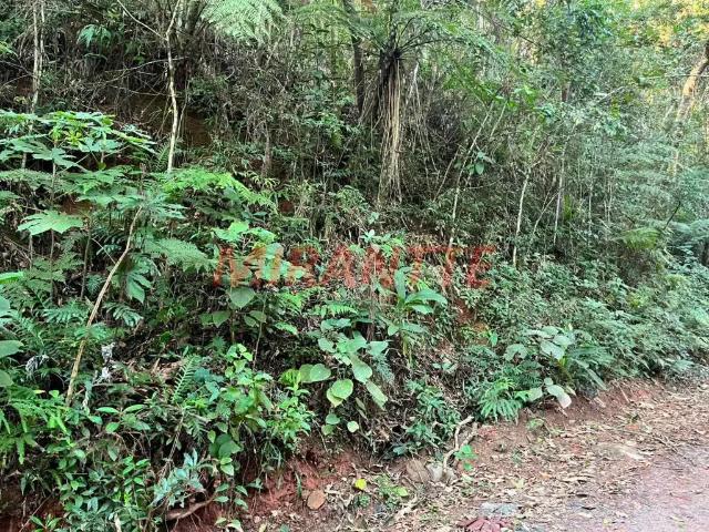 Terreno / Lote para Venda em São Paulo/SP Serra da Cantareira