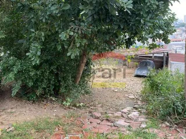 Terreno / Lote para Venda em São Paulo/SP Sítio do Mandaqui