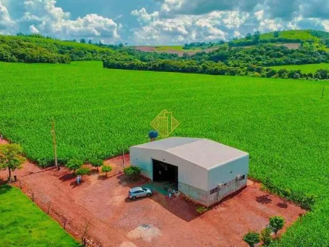 Terreno / Lote para Venda em São Pedro do Iguaçu/PR Linha Marco Três