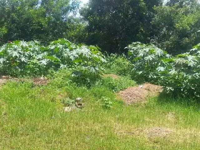 Terreno / Lote para Venda em São Pedro da Aldeia/RJ Balneário das Conchas