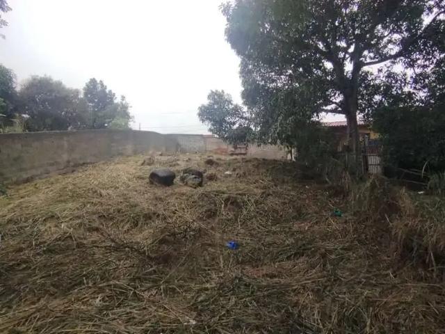 Terreno / Lote para Venda em São Pedro da Aldeia/RJ Flexeira