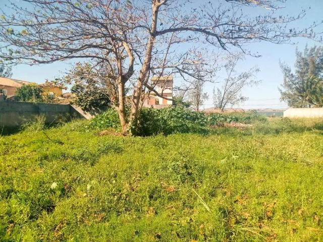 Terreno / Lote para Venda em São Pedro da Aldeia/RJ Ponta da Areia