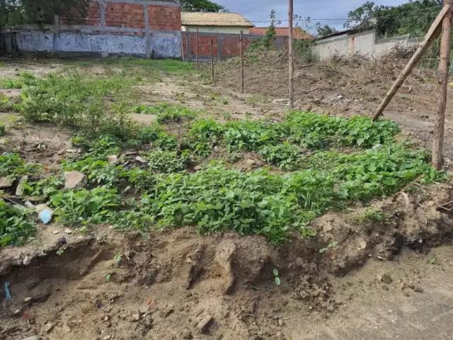 Terreno / Lote para Venda em São Pedro da Aldeia/RJ Praia Linda
