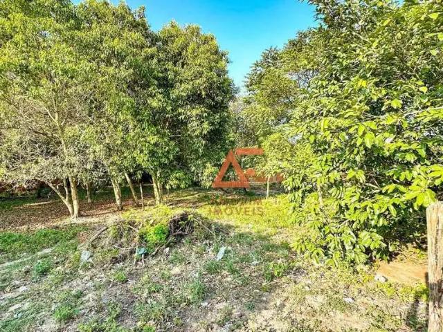 Terreno / Lote para Venda em São Pedro da Aldeia/RJ Rua do Fogo