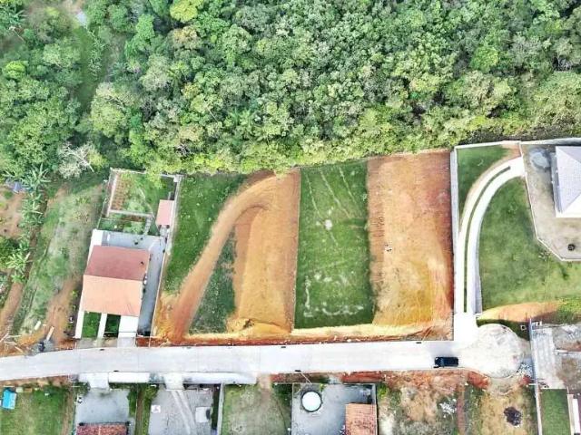 Terreno / Lote para Venda em São Pedro de Alcântara/SC Santa Tereza