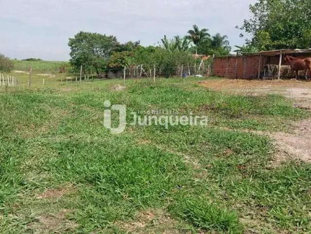 Terreno / Lote para Venda em São Pedro/SP Vista Alegre