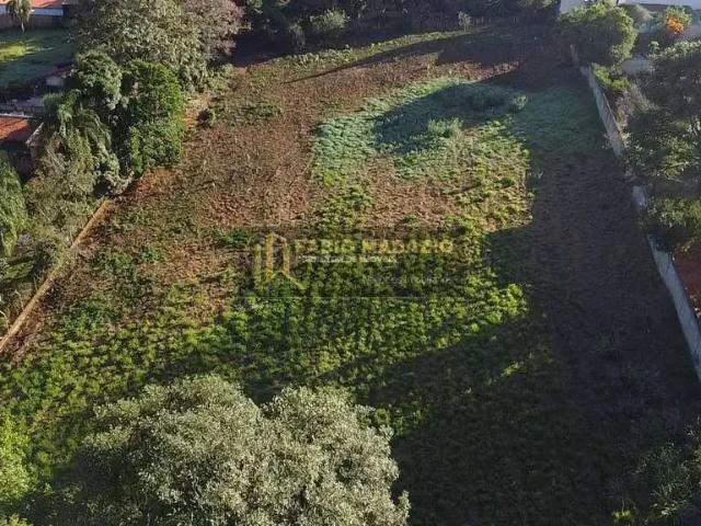 Terreno / Lote para Venda em São Pedro/SP Centro