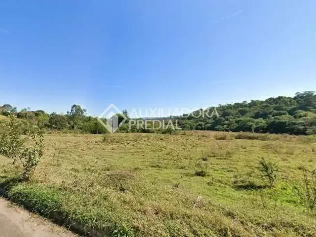 Terreno / Lote para Venda em São Pedro/SP Floresta Escura