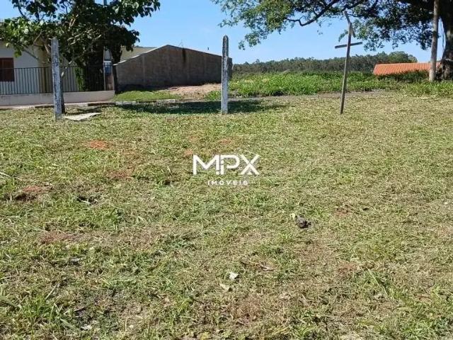 Terreno / Lote para Venda em São Pedro/SP Jardim Botanico