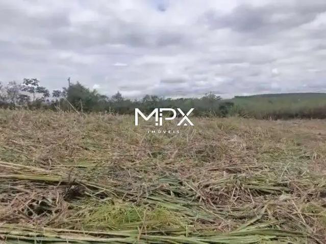 Terreno / Lote para Venda em São Pedro/SP Santa Cruz