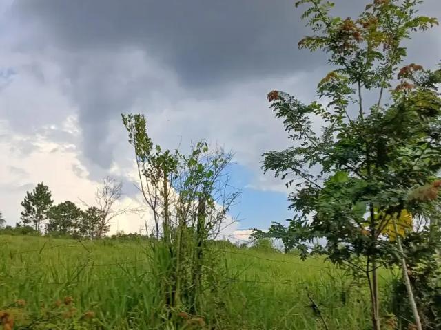 Terreno / Lote para Venda em São Roque/SP Taboão