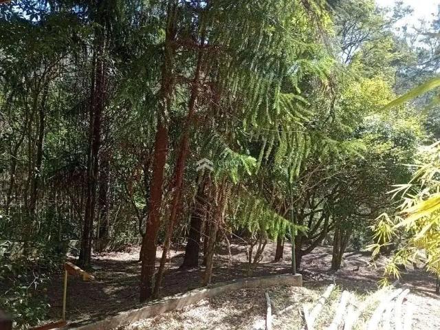 Terreno / Lote para Venda em São Roque/SP Taipas De Pedras Mailasqui