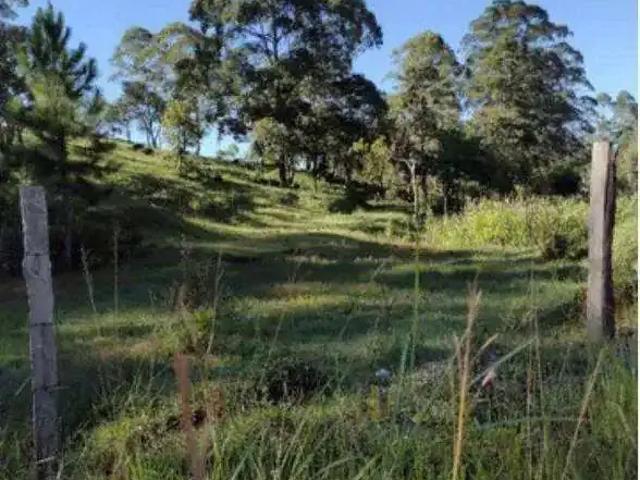 Terreno / Lote para Venda em São Roque/SP Alto Da Serra Mailasqui