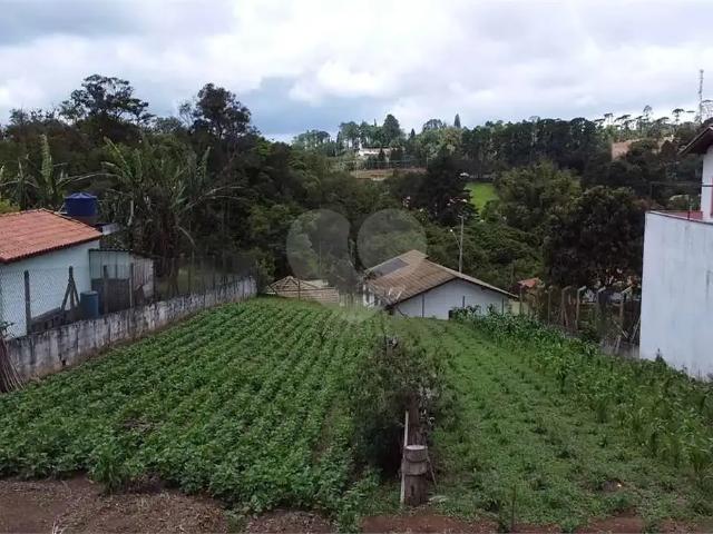 Terreno / Lote para Venda em São Roque/SP Alto Da Serra Mailasqui