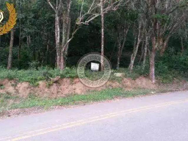 Terreno / Lote para Venda em São Roque/SP Bairro do Cambará