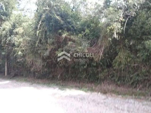Terreno / Lote para Venda em São Roque/SP Estação