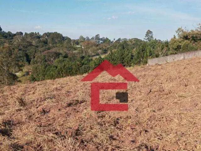 Terreno / Lote para Venda em São Roque/SP Centro Canguera