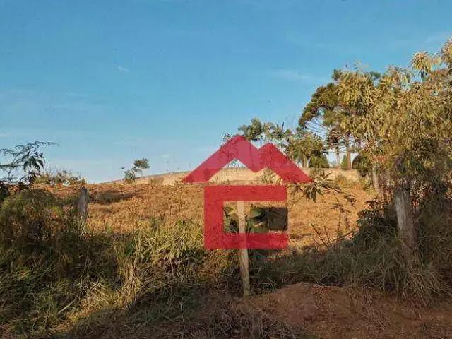 Terreno / Lote para Venda em São Roque/SP Centro Canguera