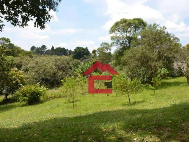 Terreno / Lote para Venda em São Roque/SP Centro Canguera