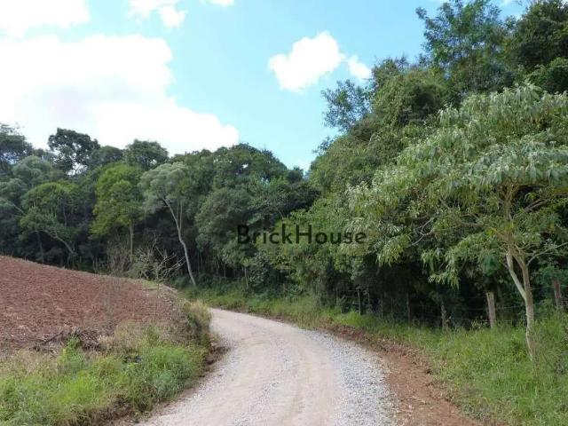 Terreno / Lote para Venda em São Roque/SP Centro Canguera