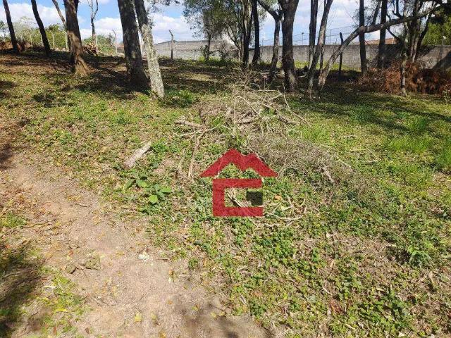 Terreno / Lote para Venda em São Roque/SP Centro Canguera