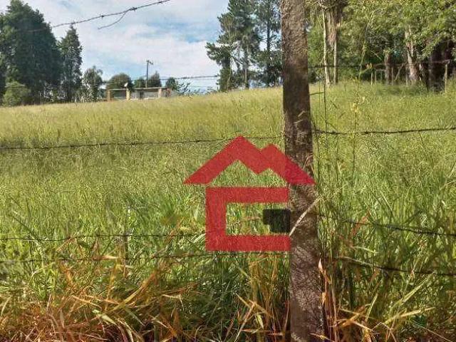 Terreno / Lote para Venda em São Roque/SP Centro Canguera