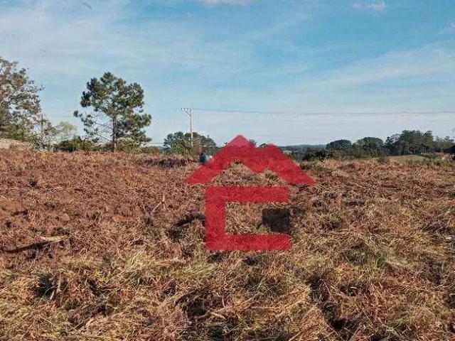 Terreno / Lote para Venda em São Roque/SP Centro Canguera