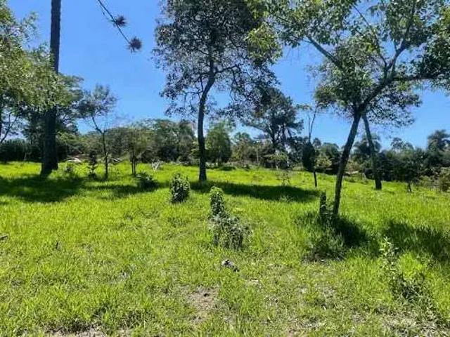 Terreno / Lote para Venda em São Roque/SP Centro Canguera