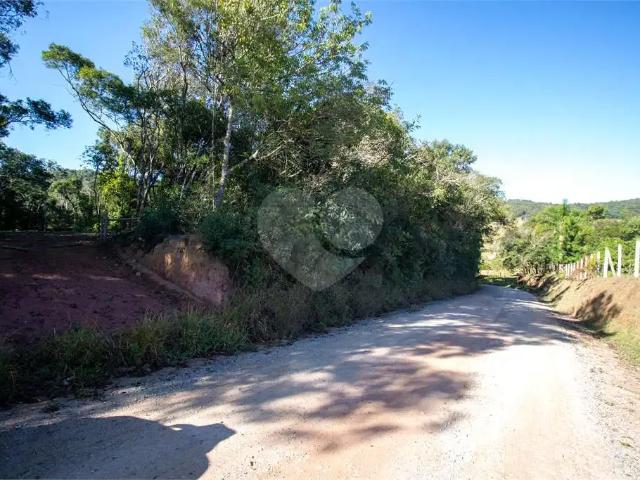 Terreno / Lote para Venda em São Roque/SP Centro Canguera