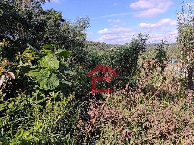 Terreno / Lote para Venda em São Roque/SP Centro Canguera