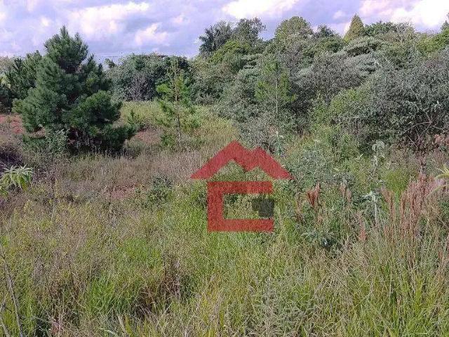Terreno / Lote para Venda em São Roque/SP Centro Canguera