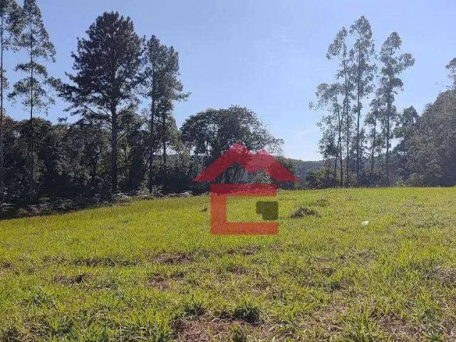 Terreno / Lote para Venda em São Roque/SP Centro Canguera