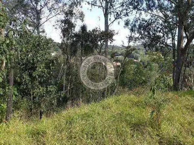 Terreno / Lote para Venda em São Roque/SP Centro Mailasqui
