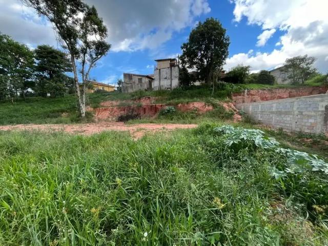 Terreno / Lote para Venda em São Roque/SP Centro São João Novo