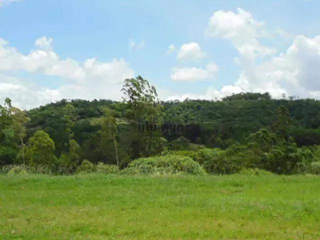 Terreno / Lote para Venda em São Roque/SP Dona Catarina