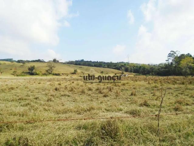 Terreno / Lote para Venda em São Roque/SP Dona Catarina