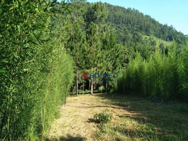 Terreno / Lote para Venda em São Roque/SP Jardim Boa Vista