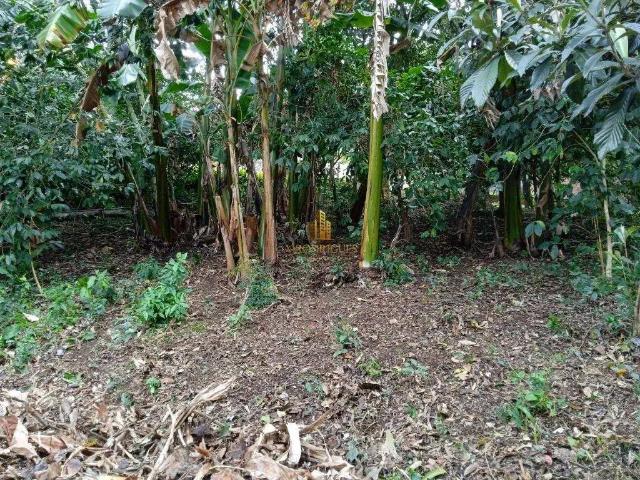 Terreno / Lote para Venda em São Roque/SP Jardim Brasília