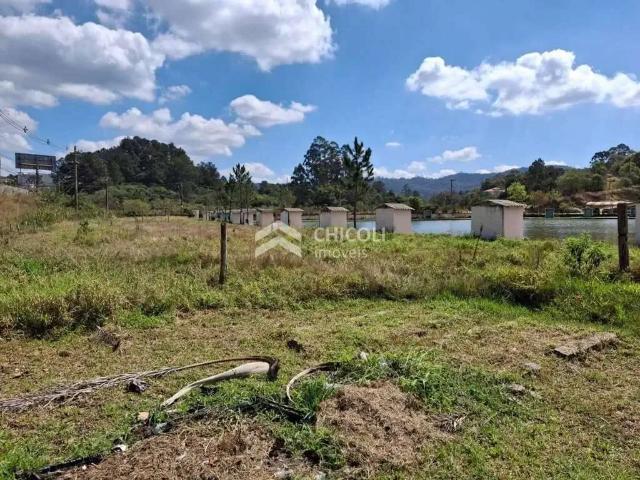 Terreno / Lote para Venda em São Roque/SP Juca Rocha Mailasqui