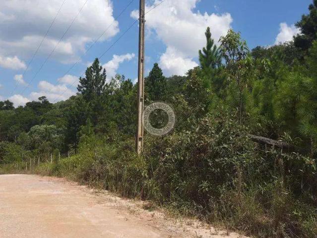 Terreno / Lote para Venda em São Roque/SP Planalto Verde