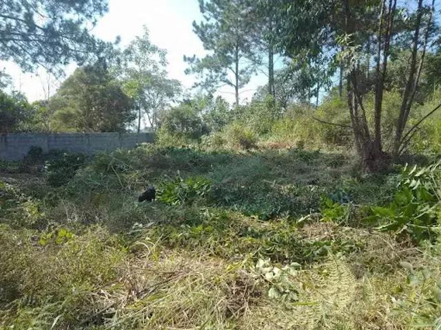 Terreno / Lote para Venda em São Roque/SP Saboó