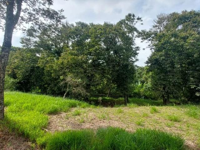 Terreno / Lote para Venda em São Roque/SP Sorocamirim