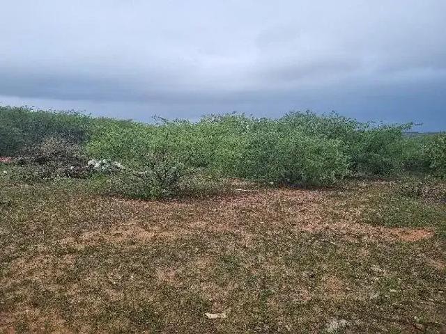Terreno / Lote para Venda em São Vicente/RN Alto da Candelária