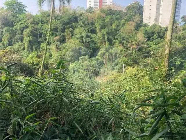 Terreno / Lote para Venda em São Vicente/SP Ilha Porchat