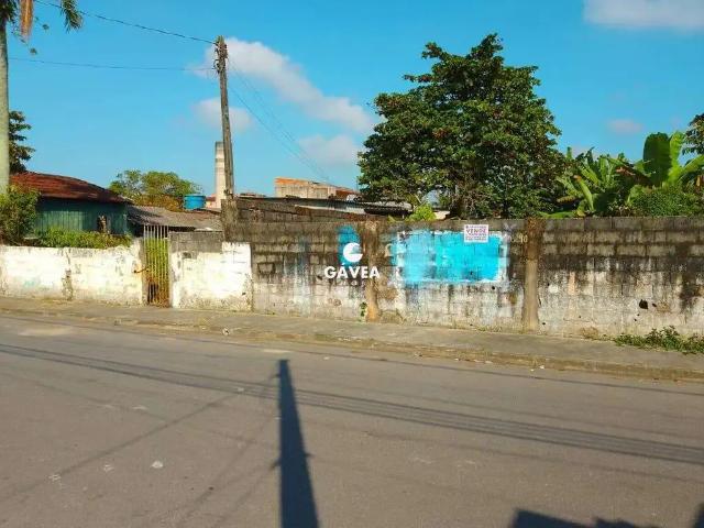 Terreno / Lote para Venda em São Vicente/SP Samarita